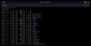 What Is A Root Directory In Linux At Susanne Lumpkin Blog