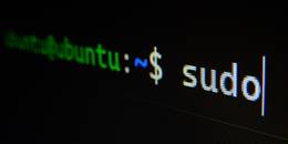  Bash 11 