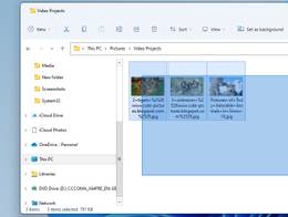 How To Select All The Files In A Folder In Windows 11 s File Explorer