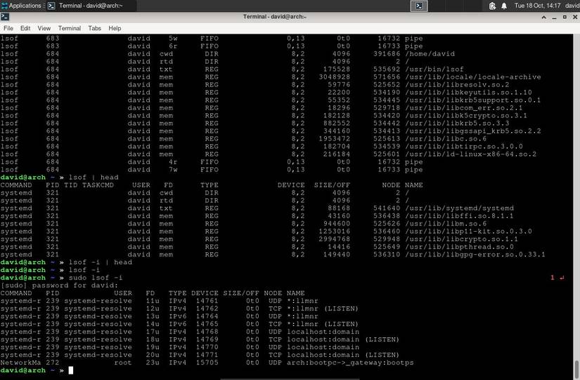 How to Use lsof to Track Down Open Files on Linux