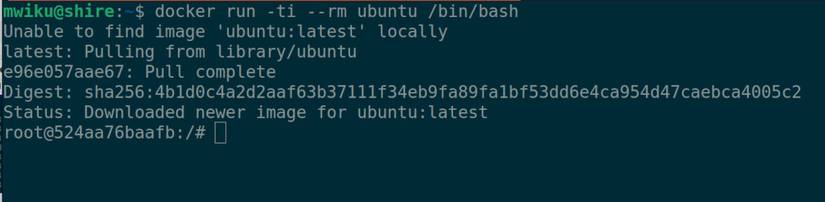 How to Run Ubuntu as a Docker Container