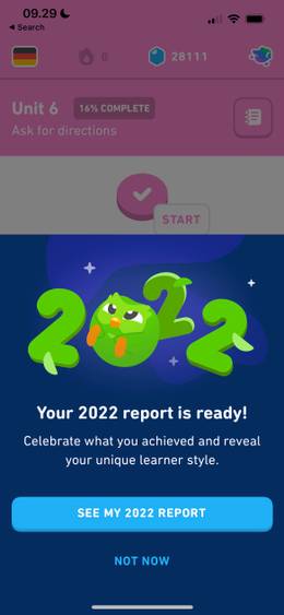 How To Access Your Duolingo Year In Review For 2022