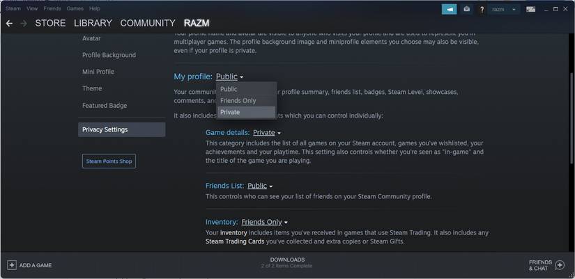 How to Hide Your Steam Activity
