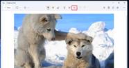 6 Ways To Crop Images In Windows 11 6 Ways To Crop Images In Windows 11