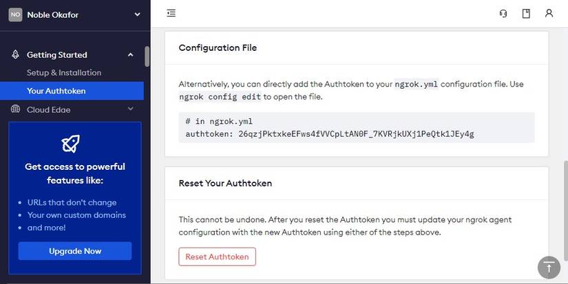 Setting Up ngrok for Local Web Development