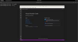 Running Visual Studio On Linux Deals Emergencydentistry