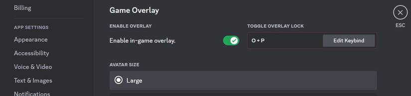 How to Fix the Discord Overlay Not Working on Windows