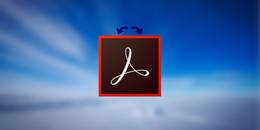  Adobe Acrobat 