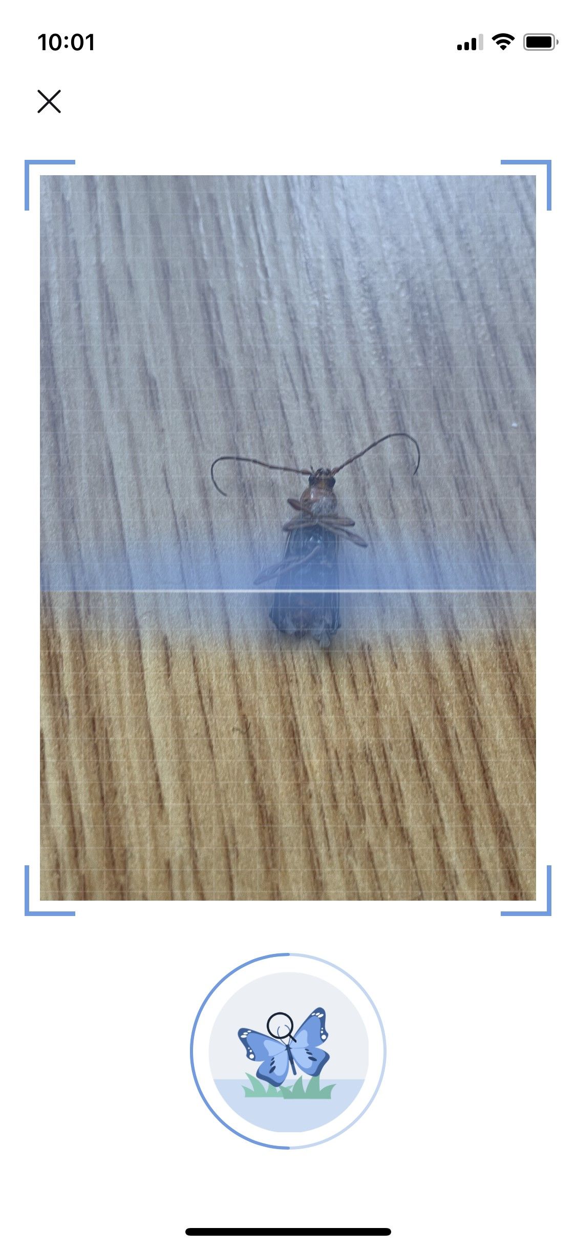 9 Crucial Apps and Resources You Need to Protect Your Health While ...