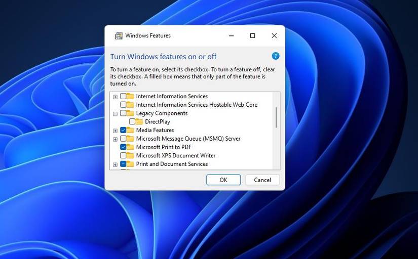 How to Fix the DirectDraw Error on Windows 10 & 11