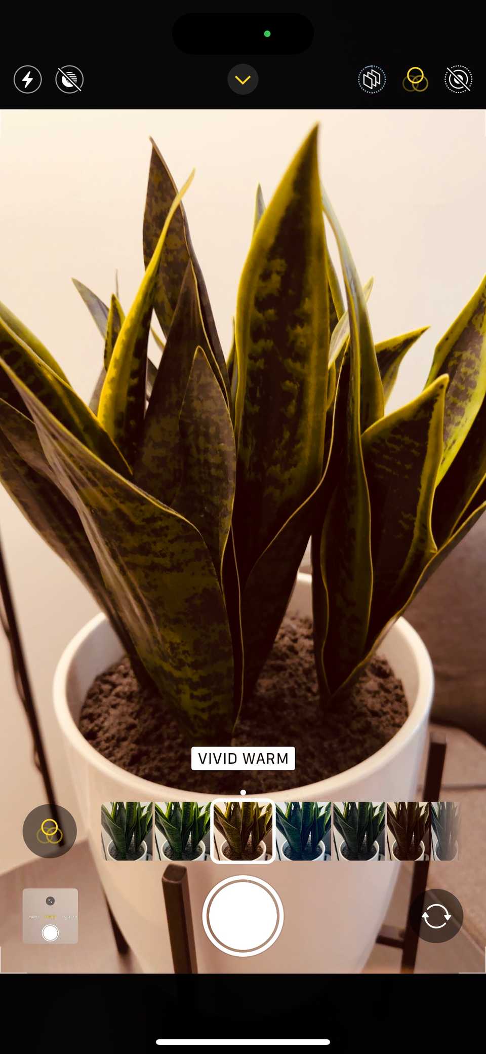 A Beginner’s Guide to Smartphone Photography