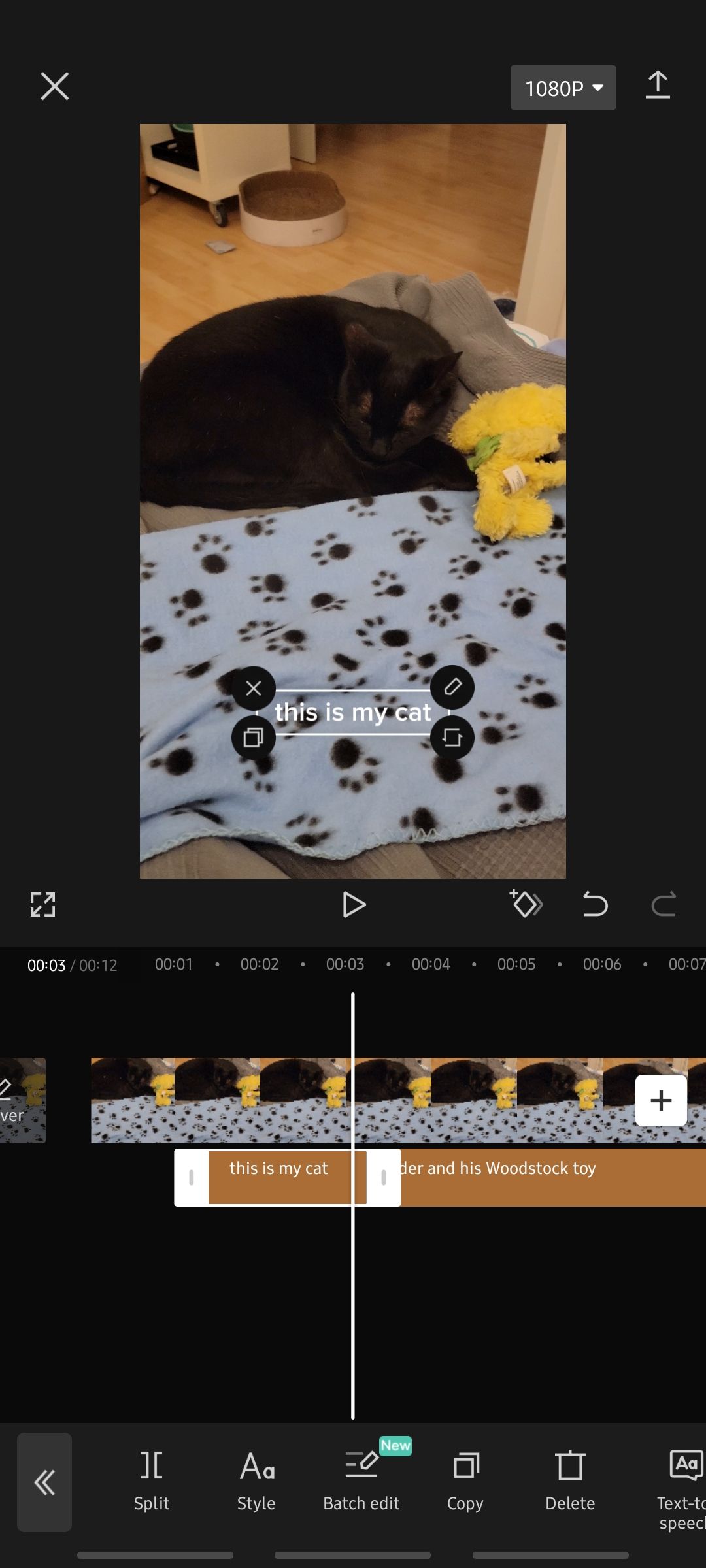 What Is Auto Caption In Capcut at Lloyd Mckeever blog