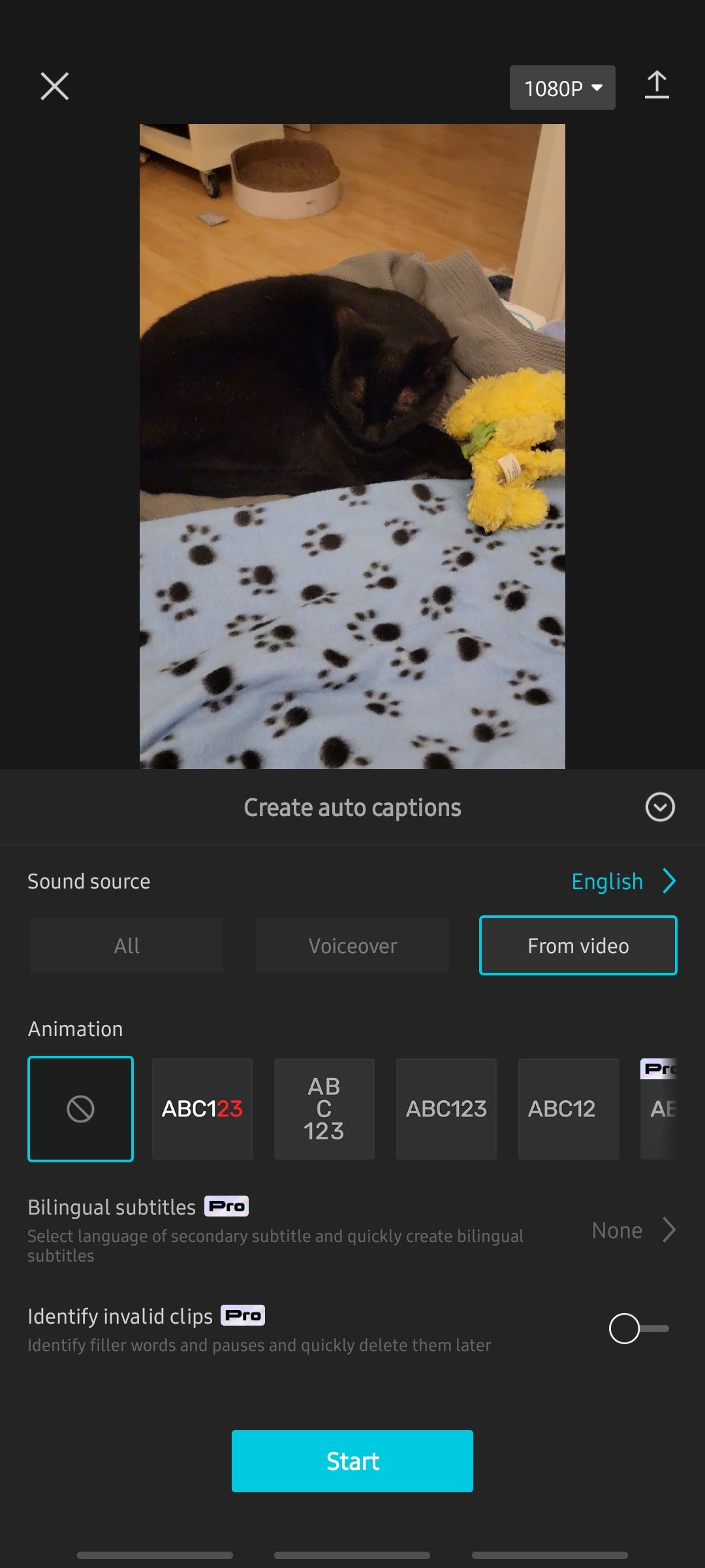 What Is Auto Caption In Capcut at Lloyd Mckeever blog