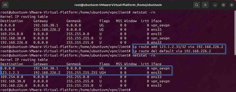 How to Set Up a SoftEther VPN over HTTPS Client on Windows and Linux