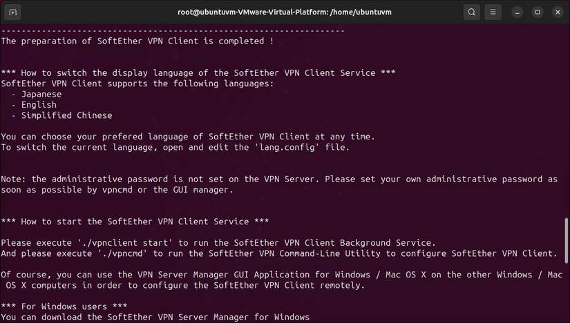 How to Set Up a SoftEther VPN over HTTPS Client on Windows and Linux