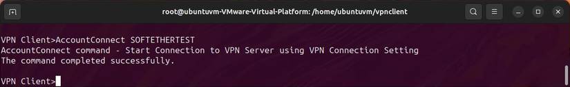 How to Set Up a SoftEther VPN over HTTPS Client on Windows and Linux
