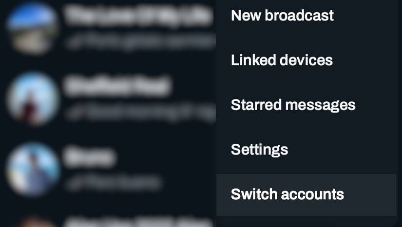 How to Add Multiple Accounts to WhatsApp