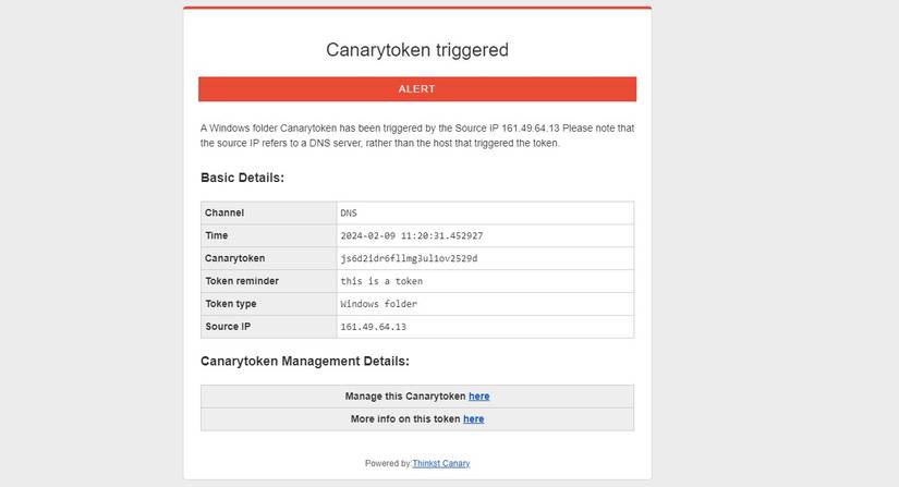 How to Use Canary Tokens to Catch Hackers When They Access Your Files