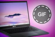 Why I m Excited About The New GIF Tool On Chromebooks