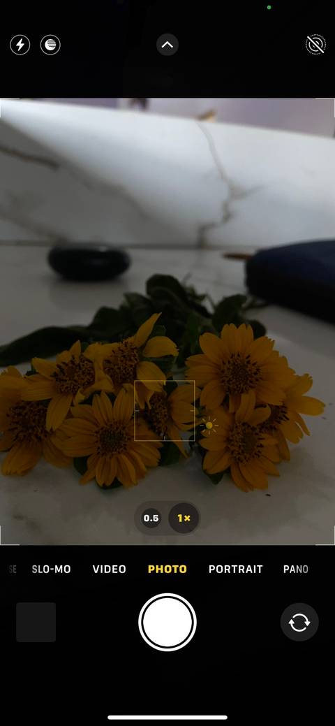 How to Nail Your Smartphone Photos Every Time Using This Beginner ...