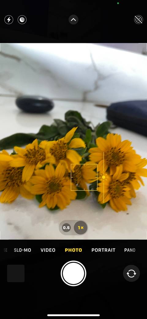 How to Nail Your Smartphone Photos Every Time Using This Beginner ...