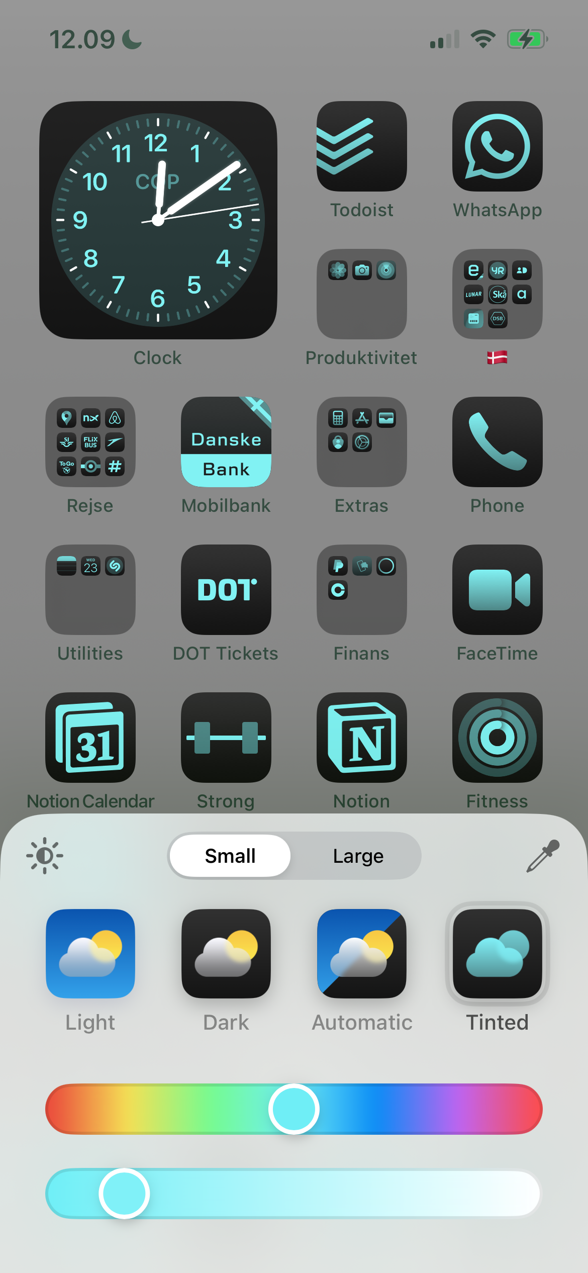 11 Creative iPhone Home Screen Layouts to Organize Your Apps