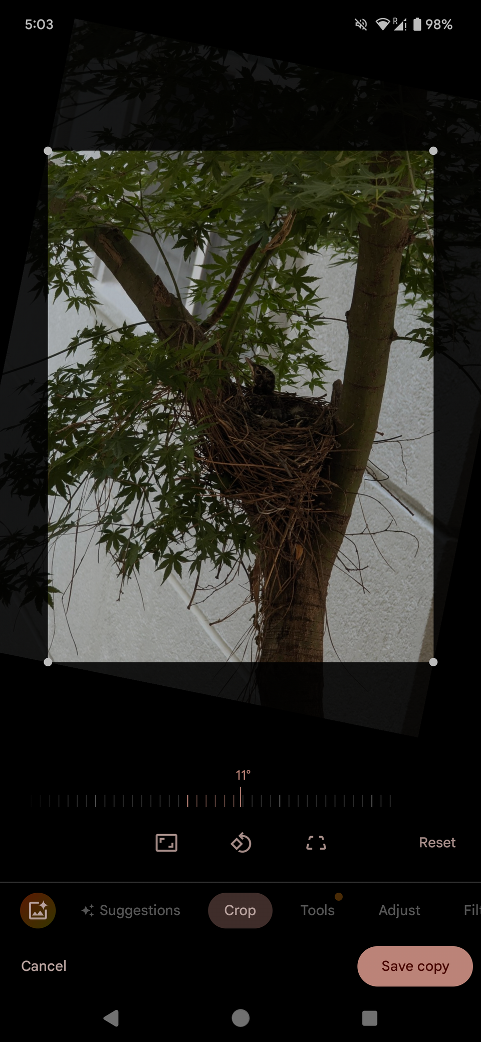 How to Master Photo Rotation on Your Smartphone