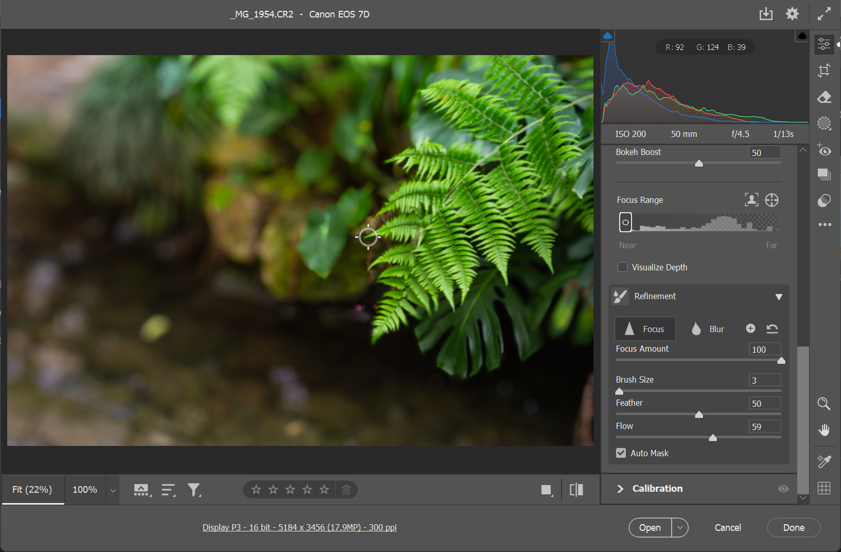 Why Lens Blur Is My Go-To Photoshop Tool for Artful Edits