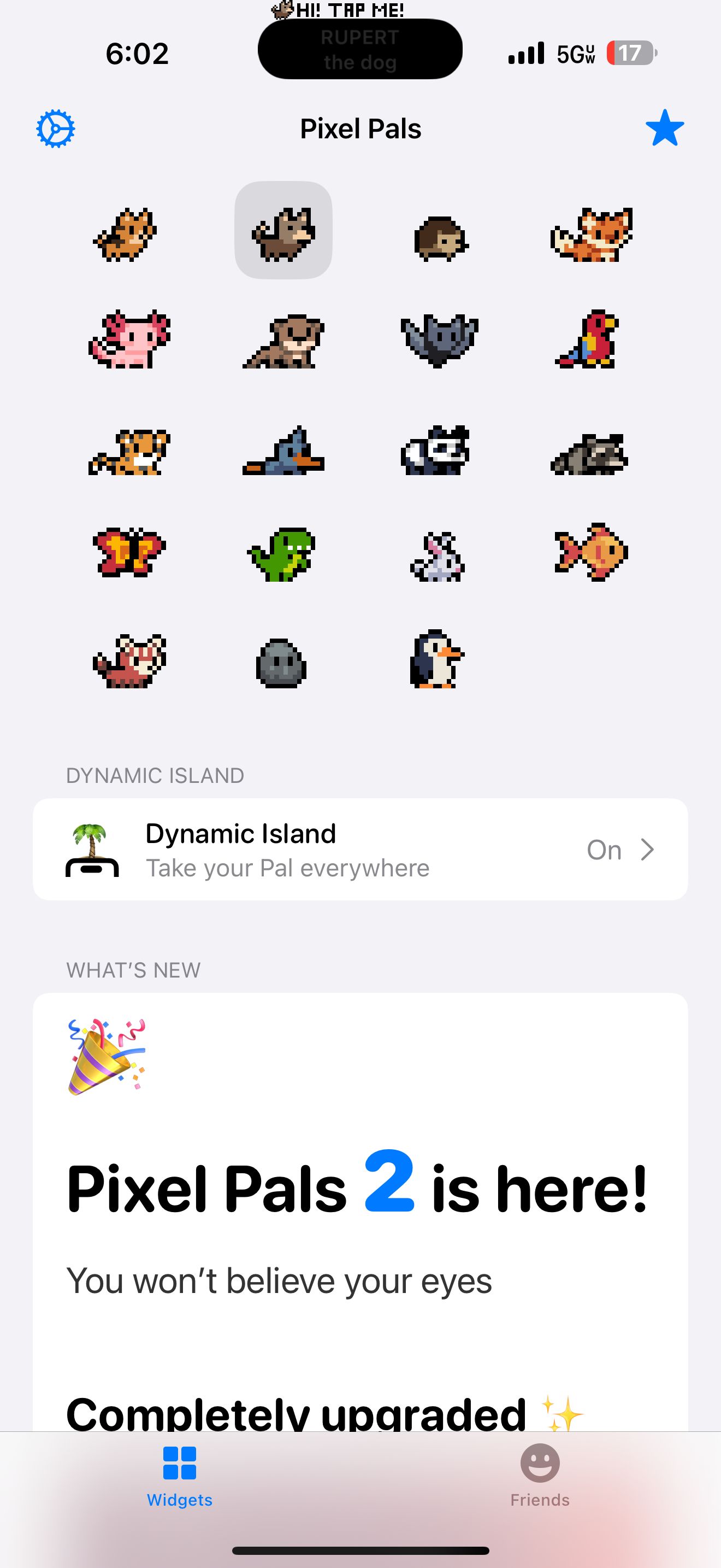 Make Your iPhone Dynamic Island Useful With These 6 Apps