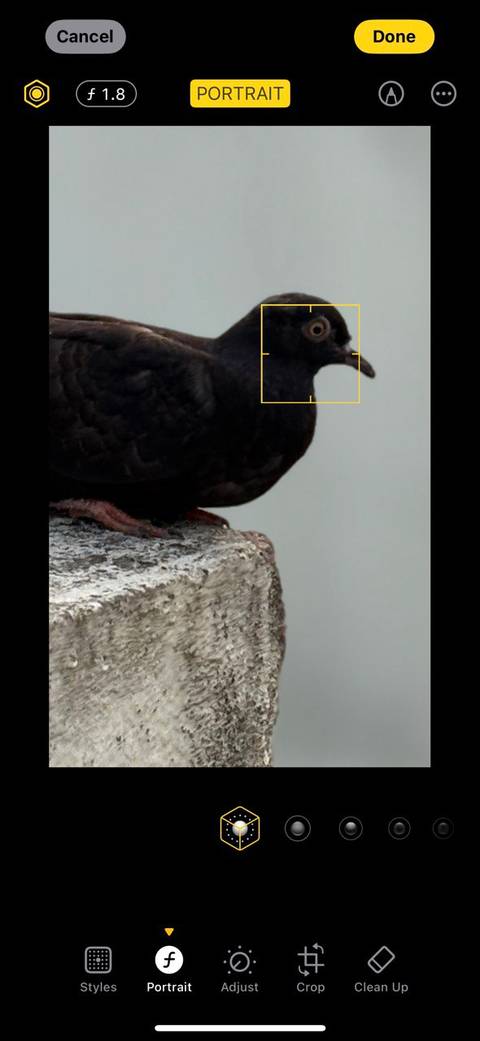 I Tested All iPhone Portrait Modes—Here’s Where to Use Each