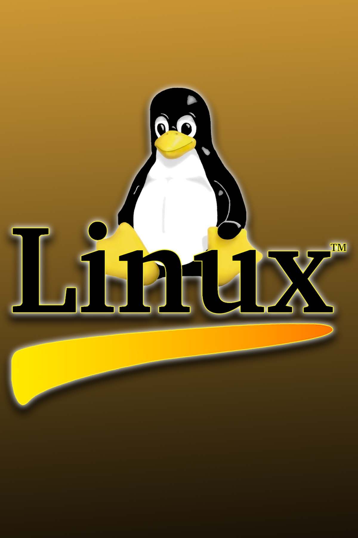 How to Run Linux Commands in the Background