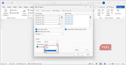 How To Insert A List Of Tables And Figures In Microsoft Word