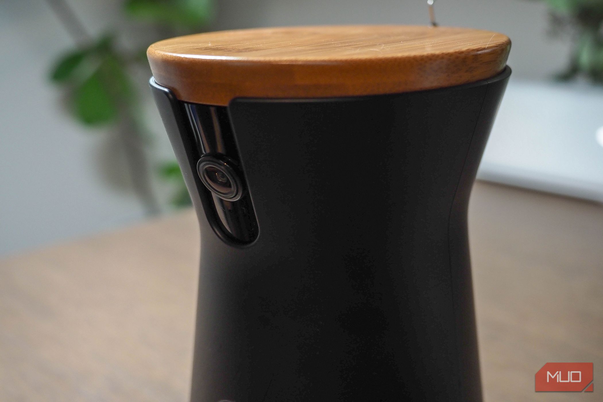 Furbo 360° Cat Camera Review: Toss Treats and Check In Remotely