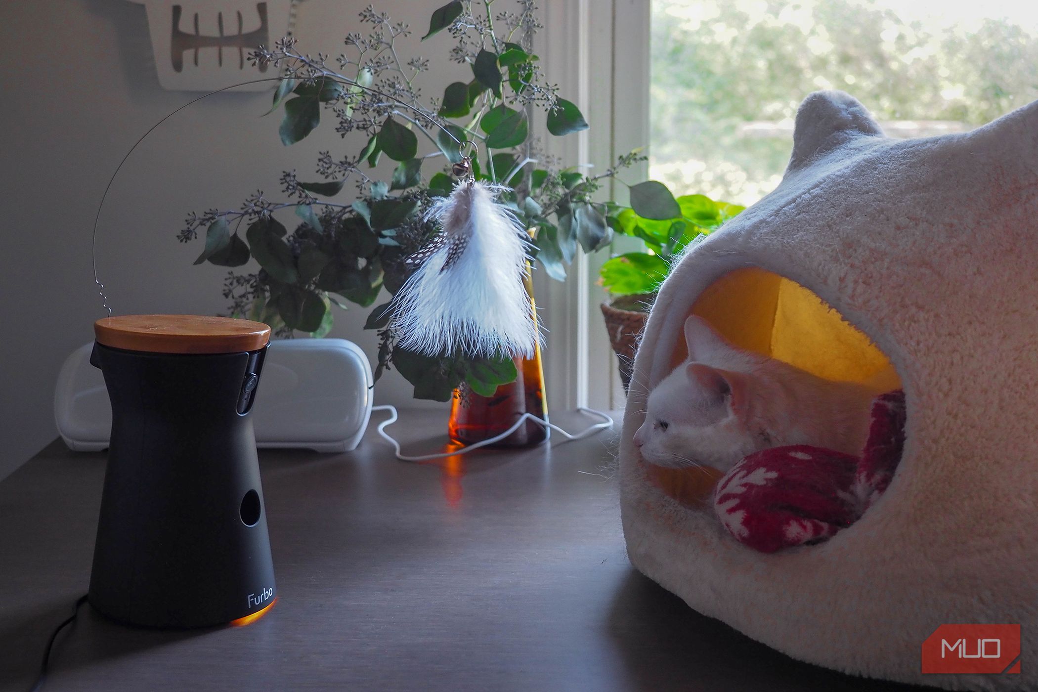 Furbo 360° Cat Camera Review: Toss Treats and Check In Remotely