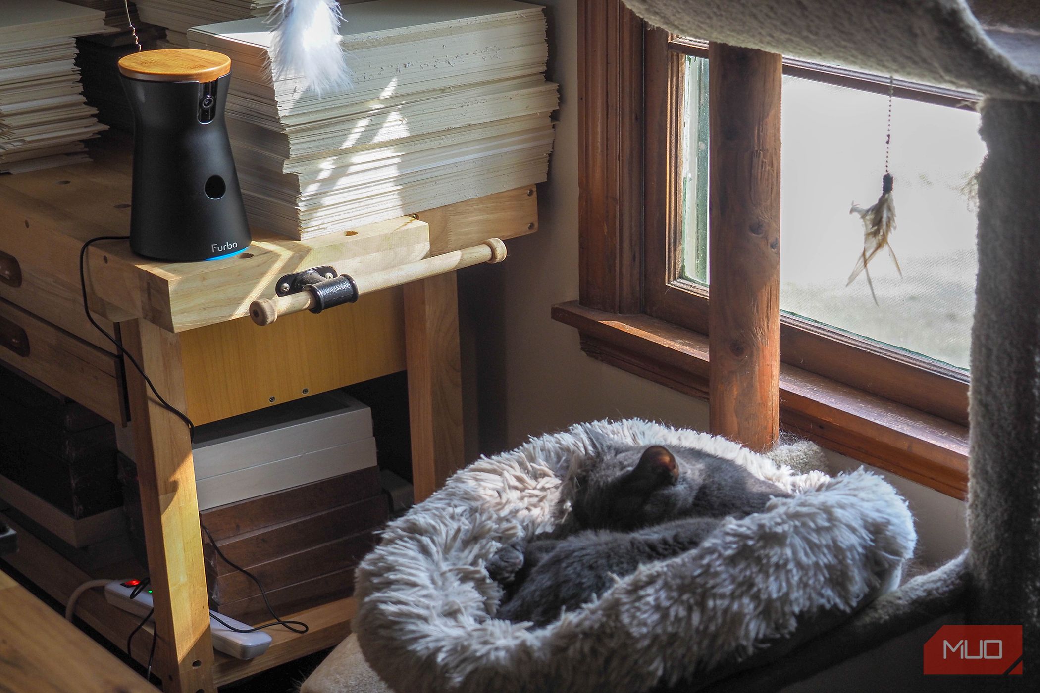 Furbo 360° Cat Camera Review: Toss Treats and Check In Remotely