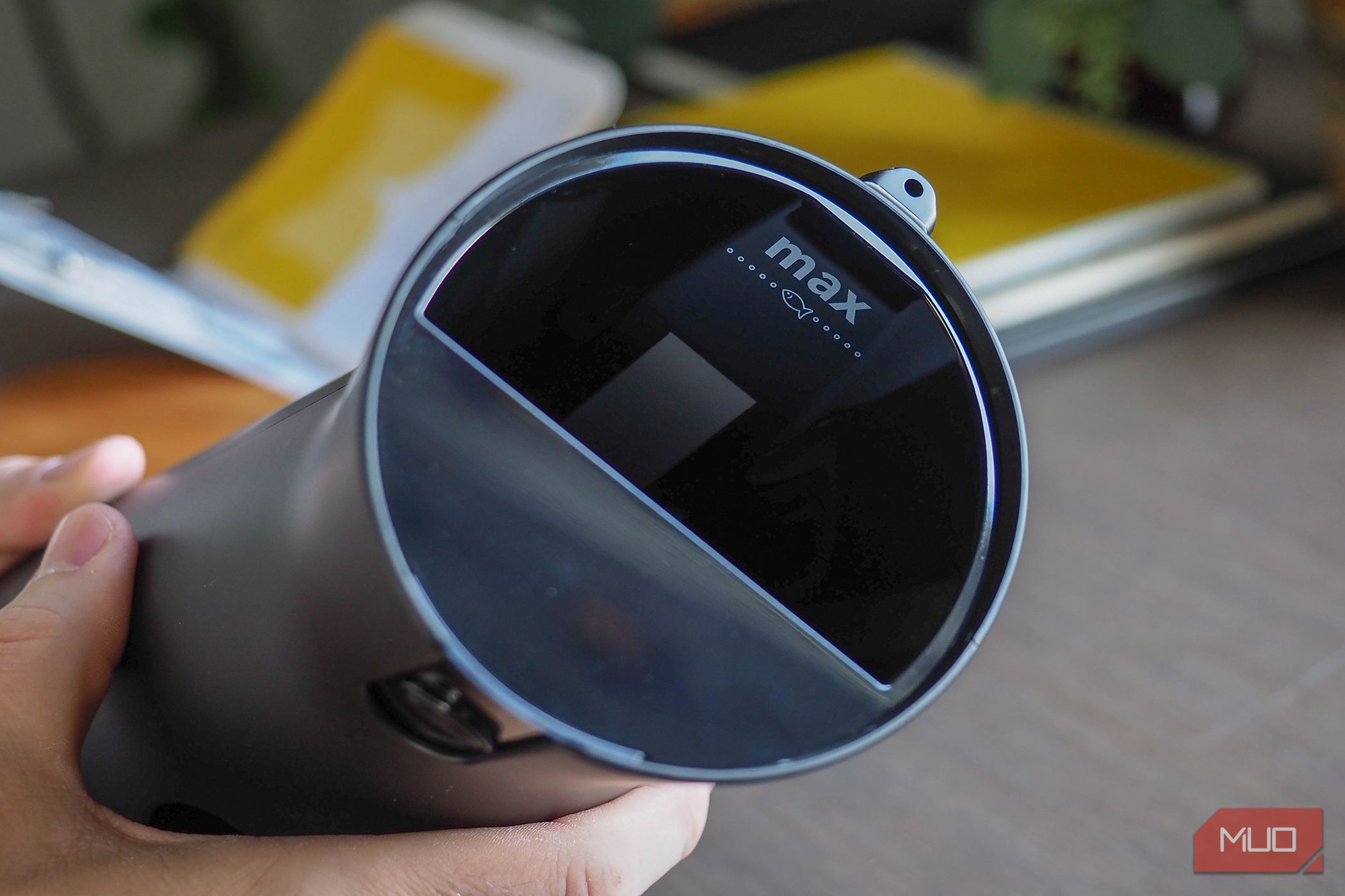 Furbo 360° Cat Camera Review: Toss Treats and Check In Remotely