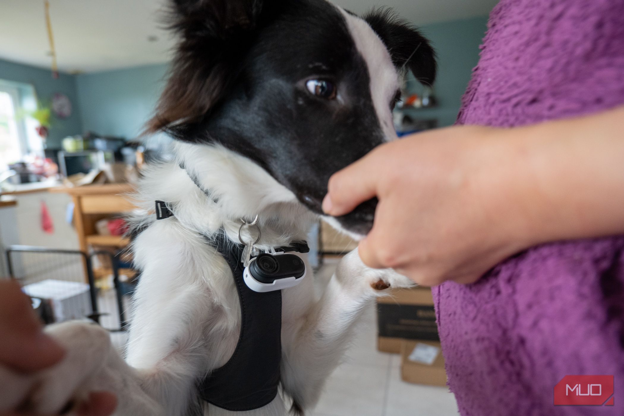 Insta360 Go 3S Review: A Tiny 4K Action Camera for Everyone